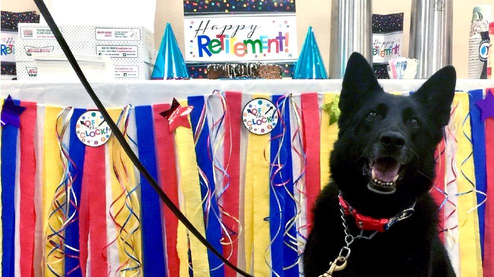 Pensacola airport holds doggone good retirement party for K9 | WEAR