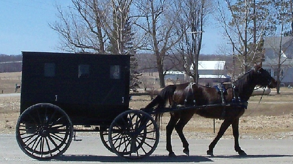 Police charge operator of Amish buggy with DUI; 4 passengers with ...