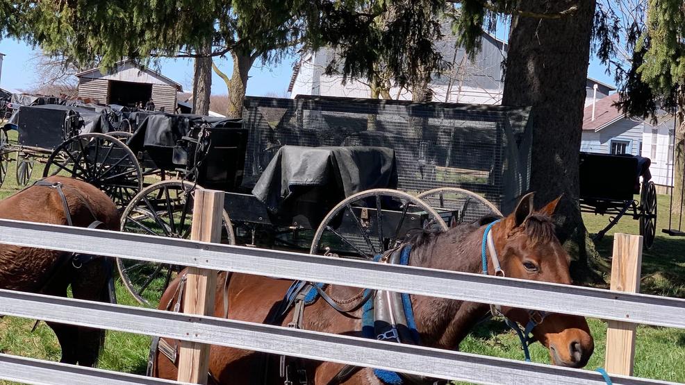 Amish wedding draws gathering to Branch County community despite stay ...