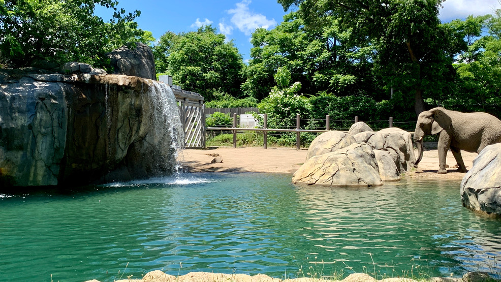 Roger Williams Park Zoo reduces hours | WJAR
